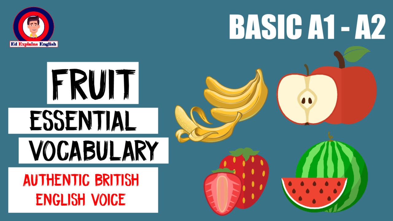 The Basics A1-A2 level | English Conversation Language