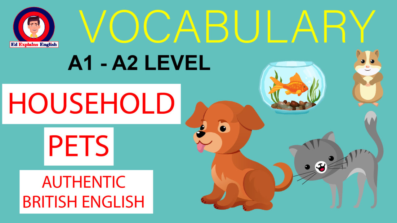 The Basics A1 A2 Level English Conversation Language the-basics-a1-a2-level-english-conversation-language